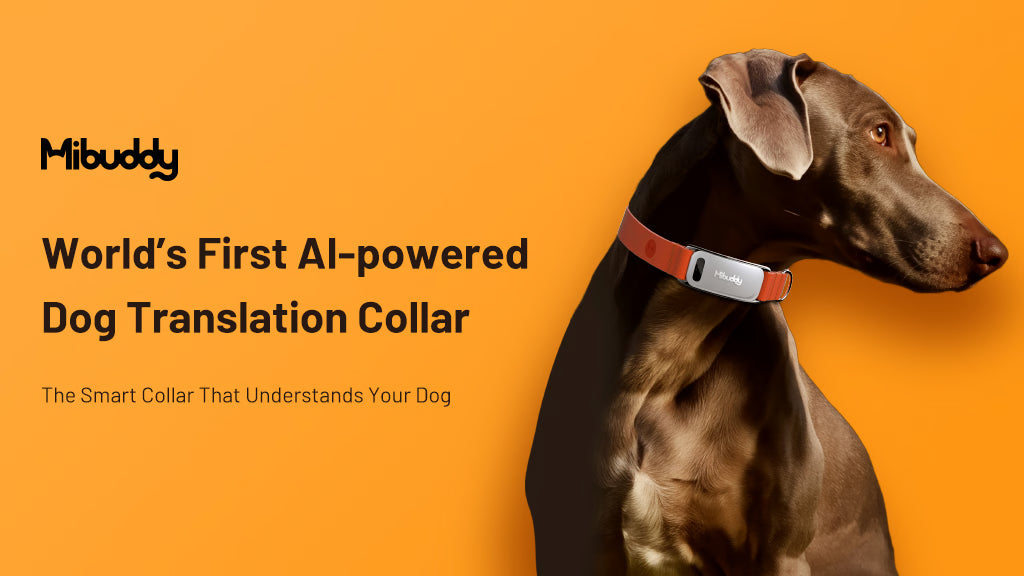 Mibuddy—World’s First AI-Powered Dog Translation Collar – Backerrock